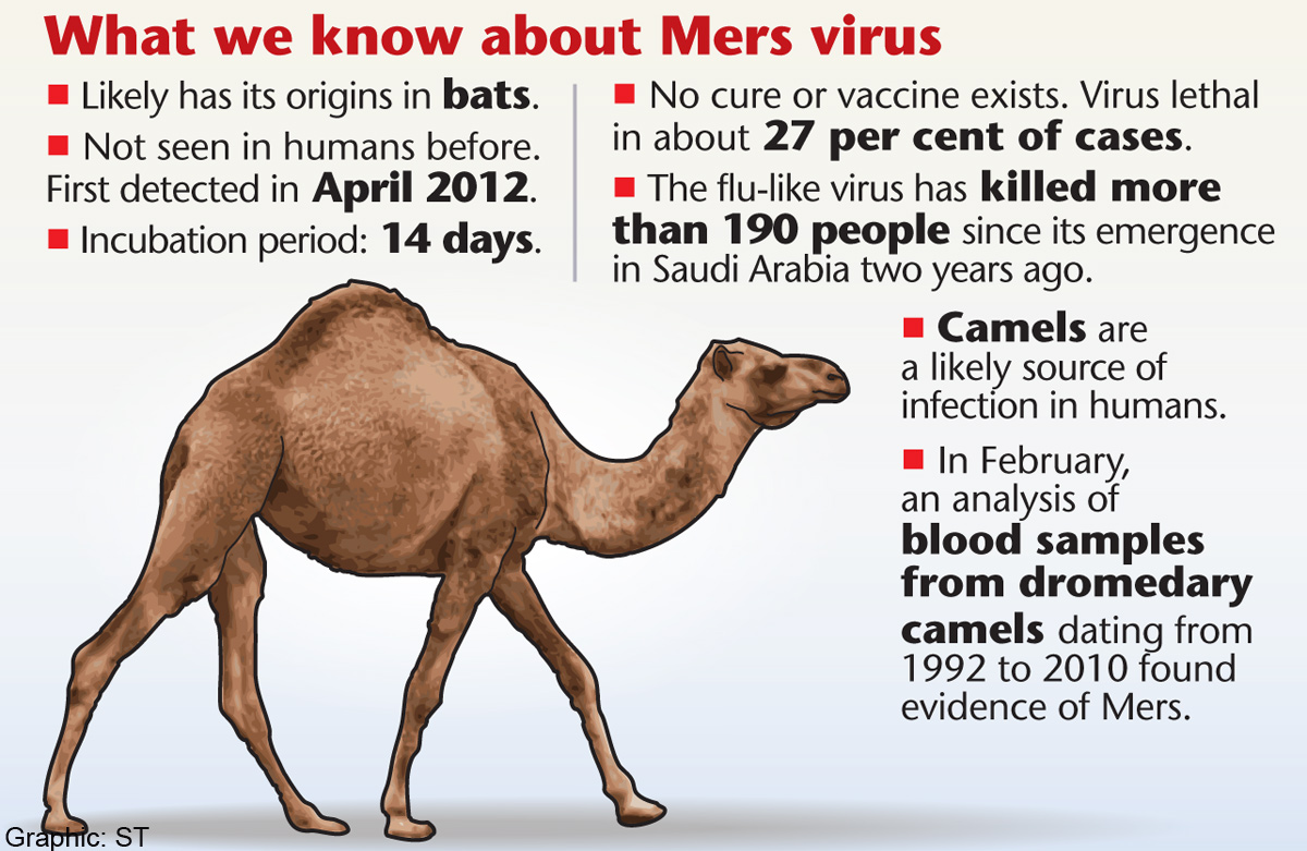 Mers: A more effective killer than Sars, Health News - AsiaOne
