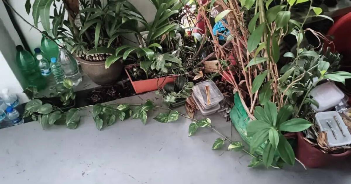 Man seen living at Pasir Ris HDB staircase, leaving behind bags of ...