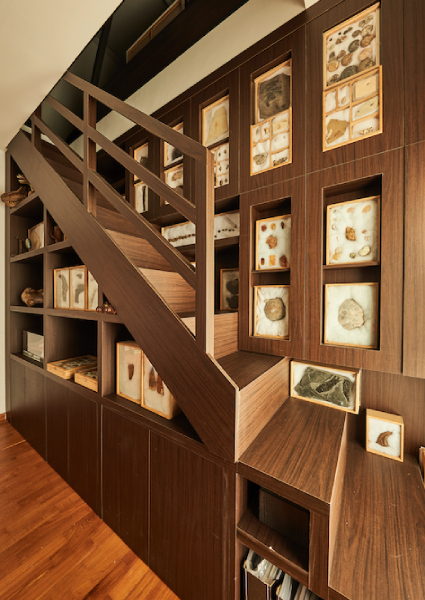 House Tour: The museum-like home of a fossil collector, Lifestyle News ...