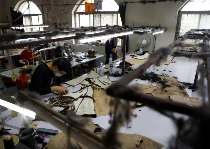 China's fur farms see opportunity as countries cull mink over ...