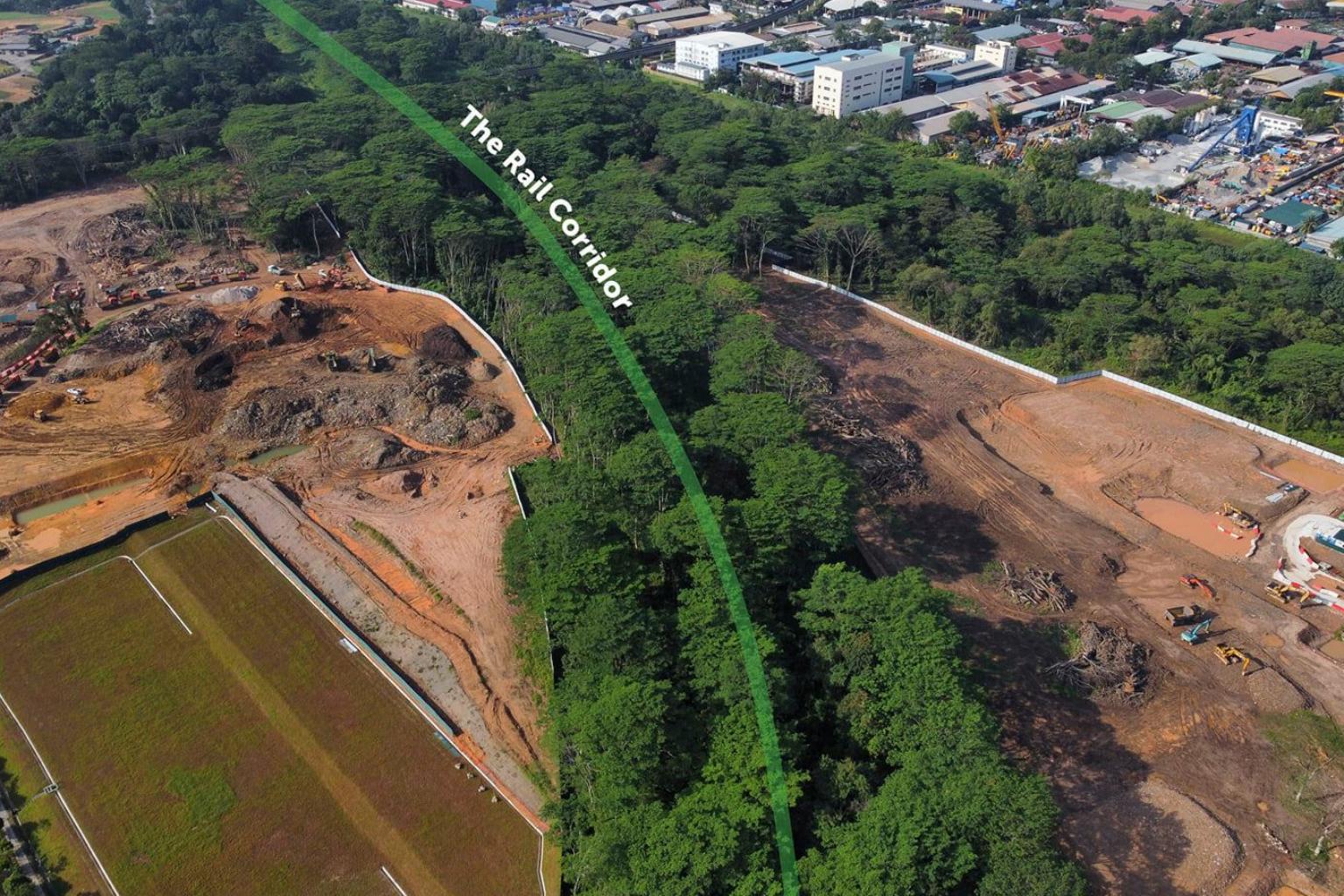 Large area of Kranji greenery along rail corridor cleared by mistake ...
