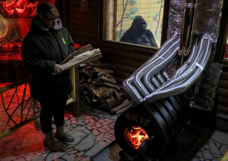 Kyiv Zoo keeps Tony the gorilla warm despite daily power cuts, World ...