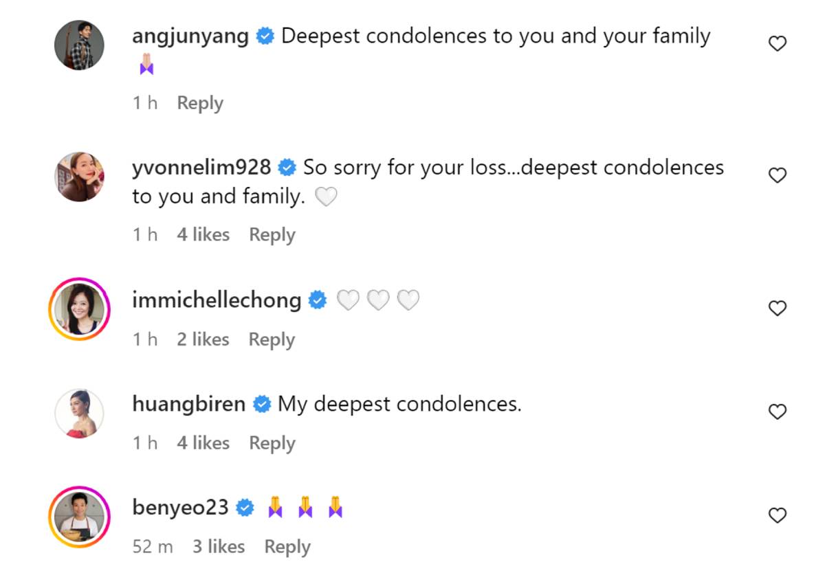 'We've been missing Daddy for 7 years': Rebecca Lim reveals late father ...