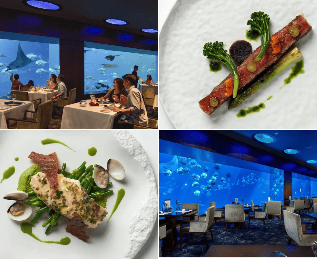 Immersive experiential dining in Singapore: Dinner with mermaids, theatrical extravaganzas and ...