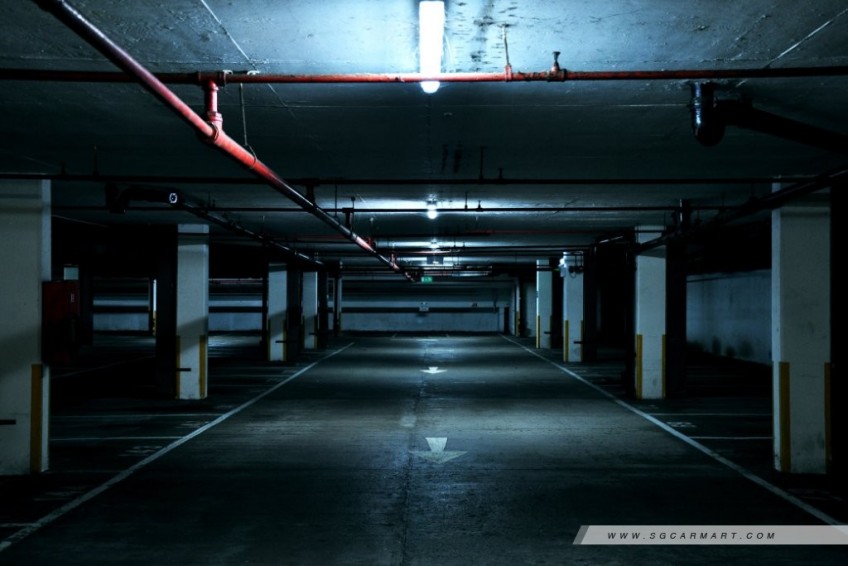 Daily roundup: Missing no more: TikToker attaches AirTags to her 4 cats ...