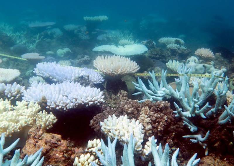'Cloud brightening' experiment may help cool Great Barrier Reef, World ...