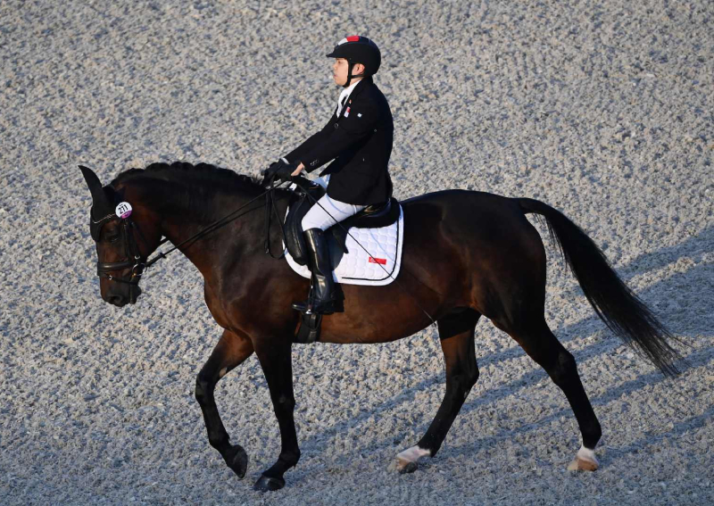 Yay or neigh: Are these facts about para equestrian true?, Lifestyle ...