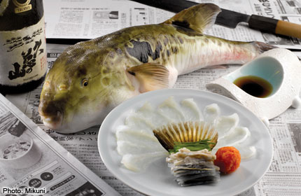 Food Picks: Feast on Fugu, Food News - AsiaOne