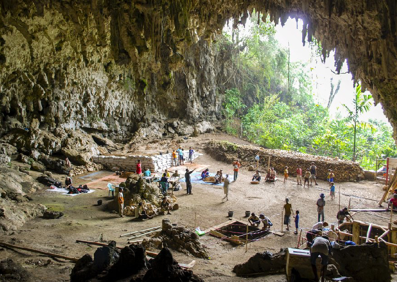 World's oldest artwork uncovered in Indonesian cave: study, World, Asia ...