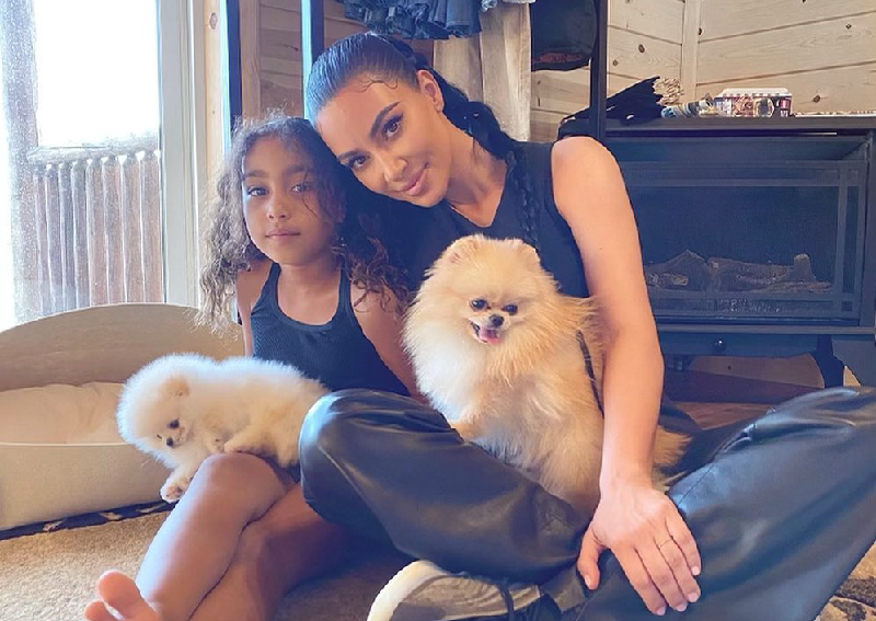 Peta warns Kim Kardashian over video showing her dogs in garage ...