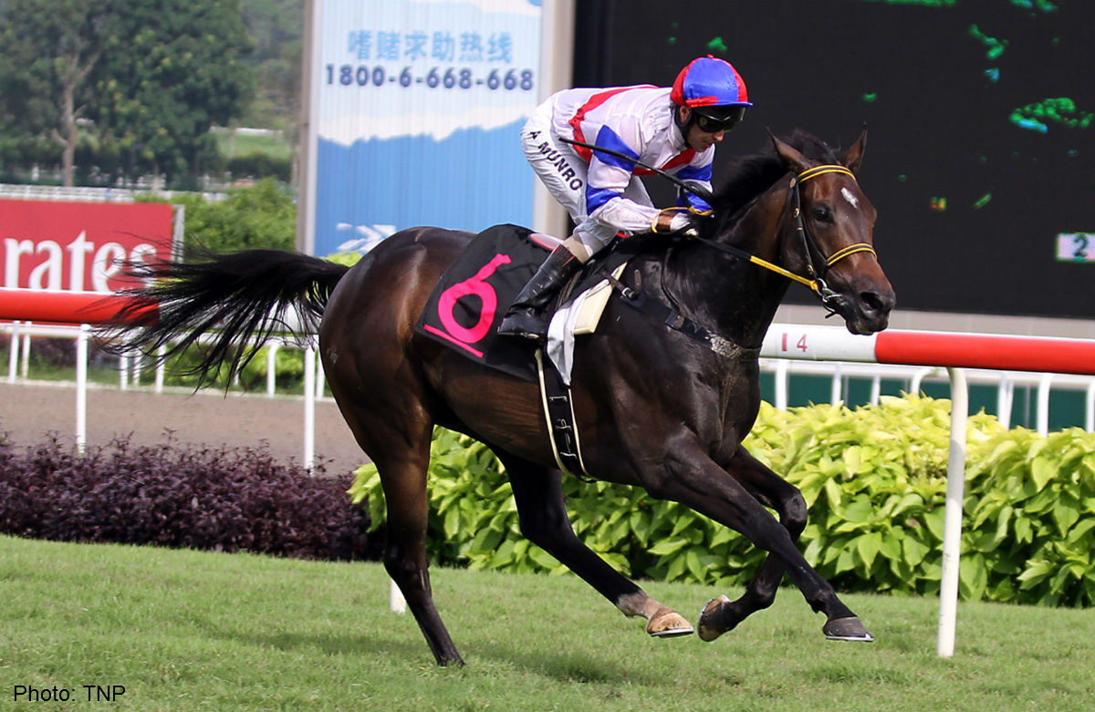 Racing: Thumping good win, News - AsiaOne