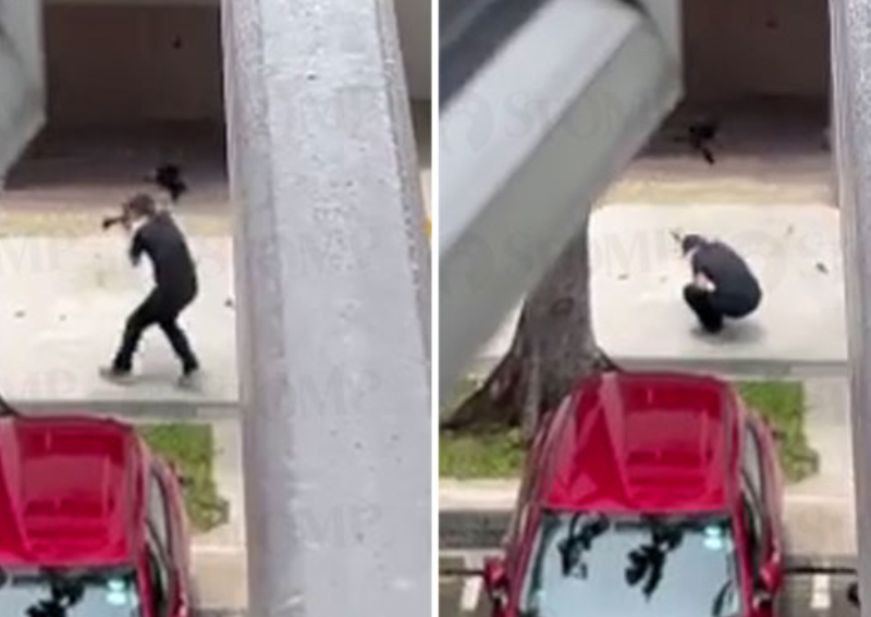 Crows attack man in Bishan, Singapore News - AsiaOne