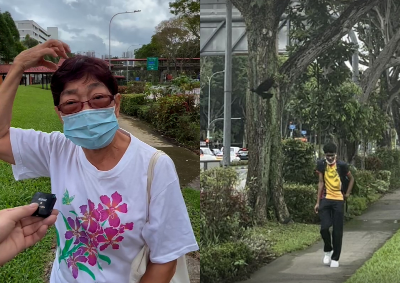 Bishan residents warn public against using path after 'vicious ...