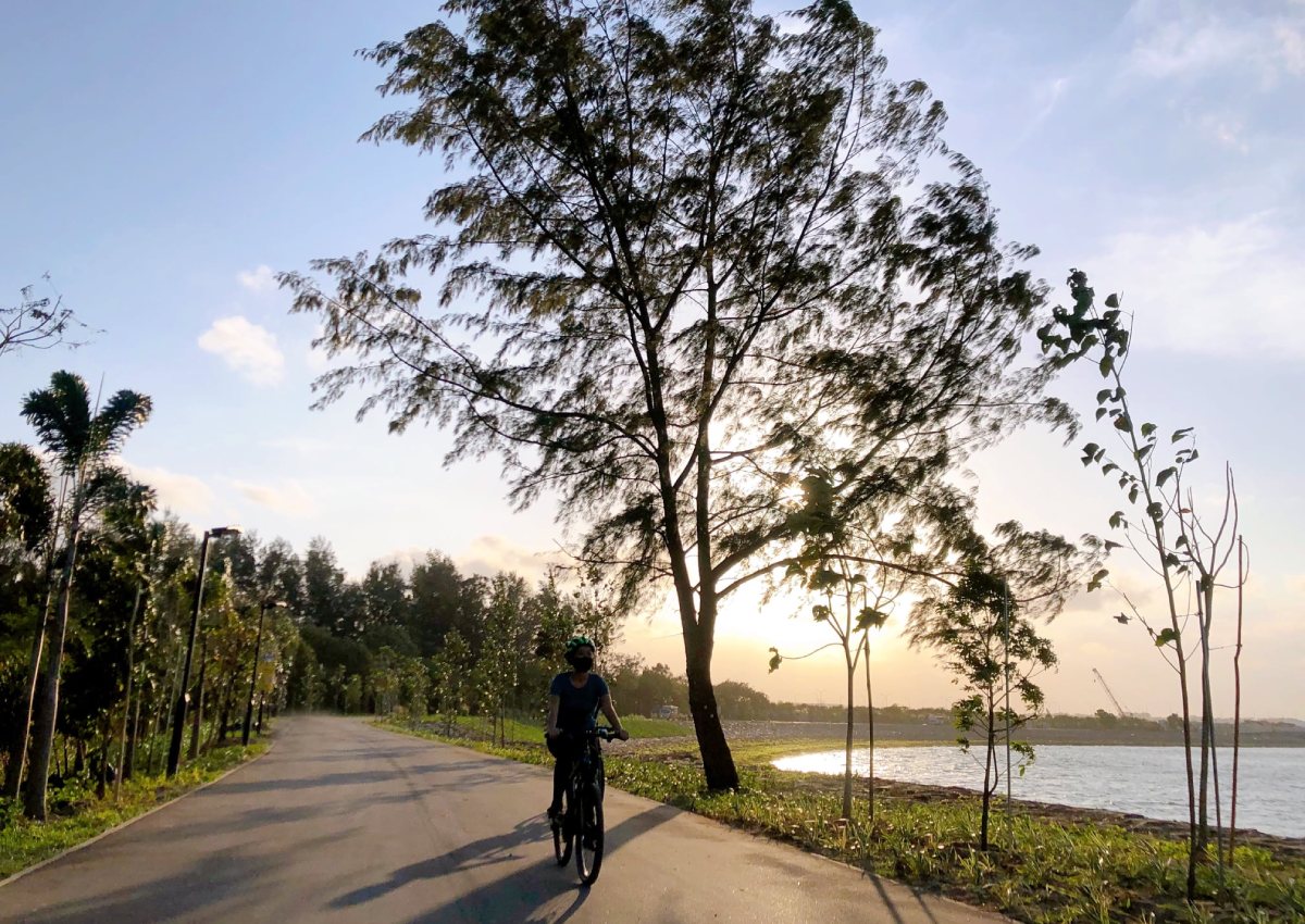 First half of Round Island Route opens, offering 75km-long green ...