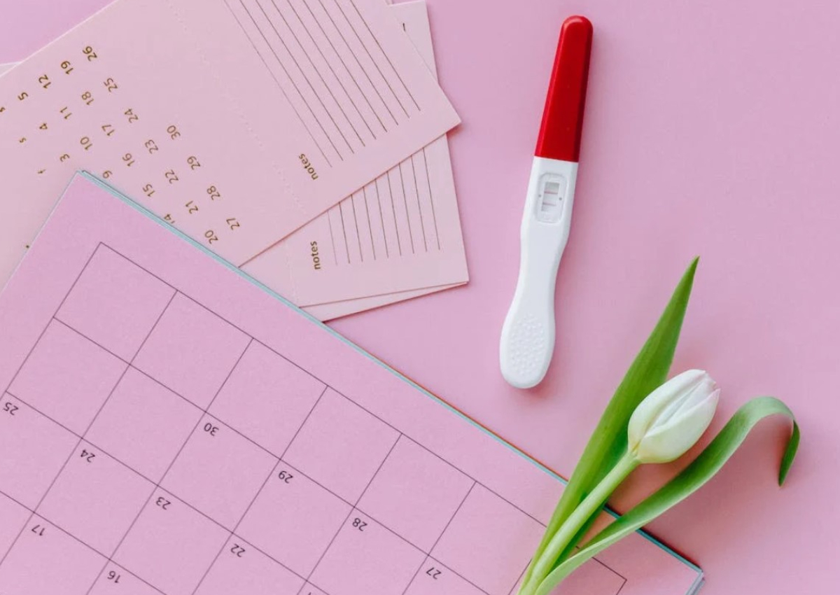 Ovulation tracking: How to use this method to better plan a pregnancy ...