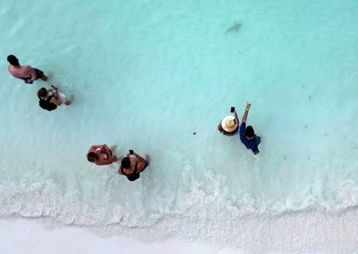 Sharks, tourists jostle for space around Thailand's Maya Bay, Asia News ...
