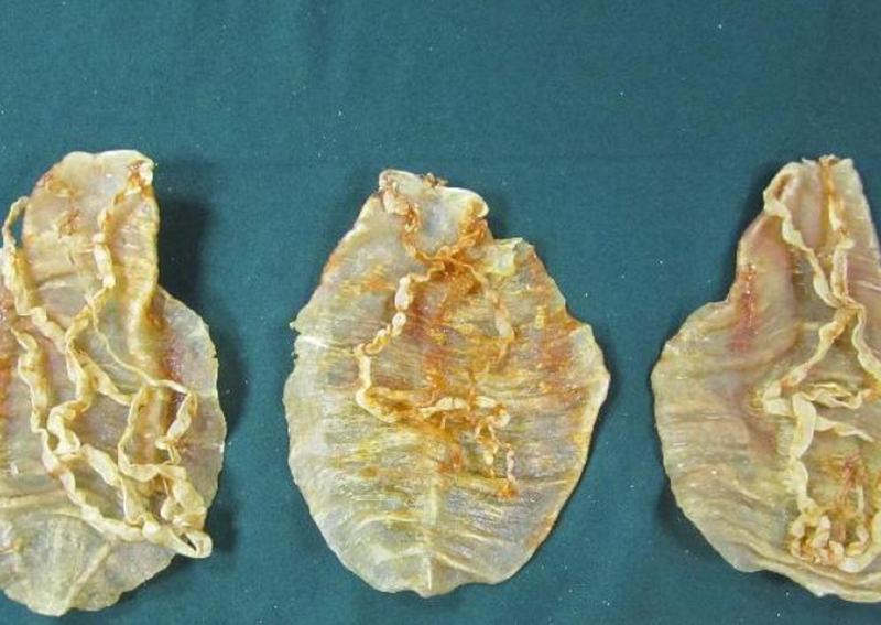 China prosecutes 11 people for smuggling $162 million worth of ...