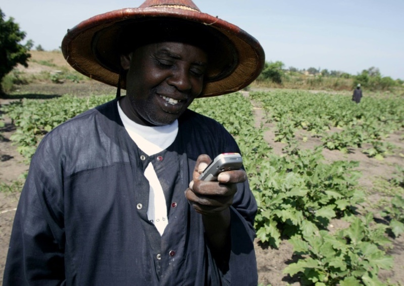 Smart tech the new tool for African farmers, Digital, World News - AsiaOne