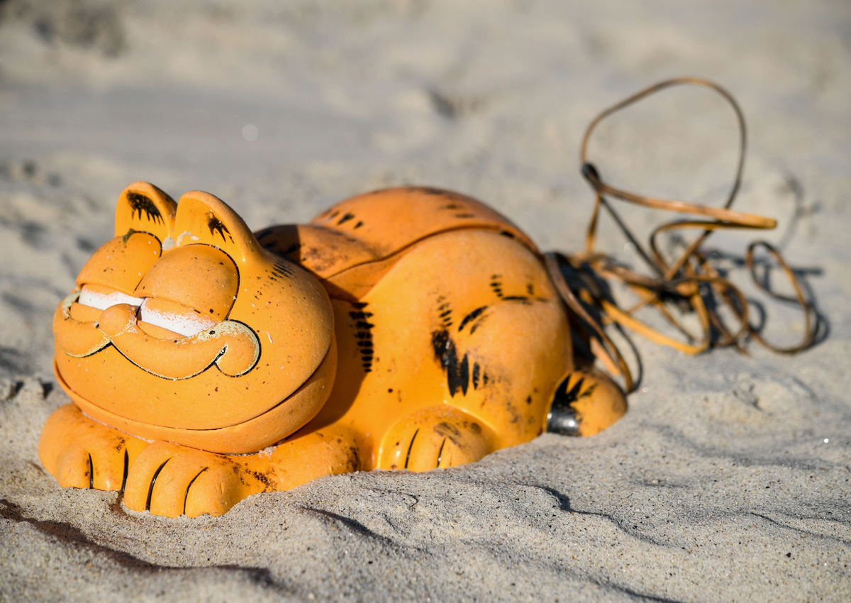 Garfield beach phone mystery solved after 30 years, World News - AsiaOne