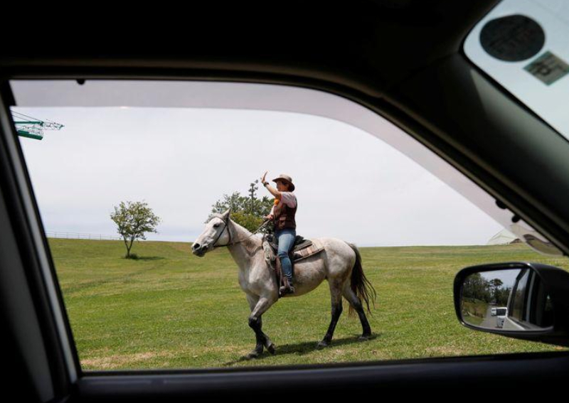 Japanese animal park reopens as 'drive-through' attraction, Asia News ...