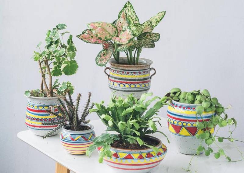 10 fun, unique pots and planters that'll add cheer to your space ...