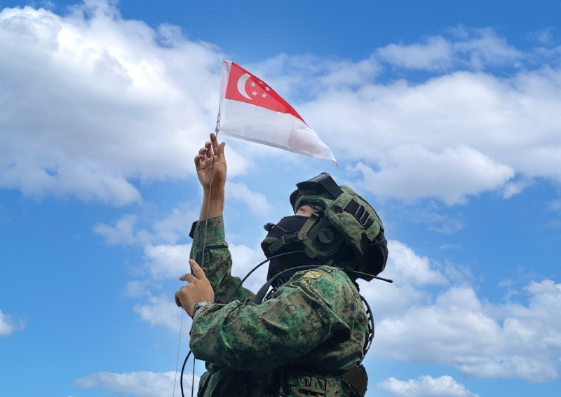 Little red dot, blue planet, green guardians: How the SAF protects the ...