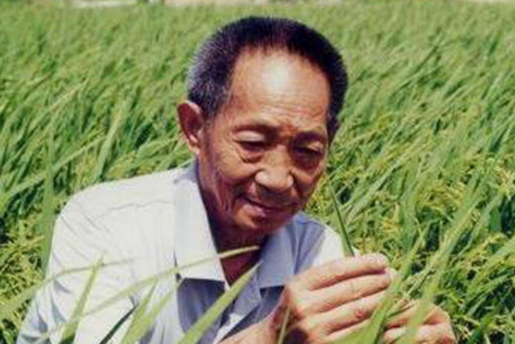 Feeding The World With Hybrid Rice Prof Yuan Longping