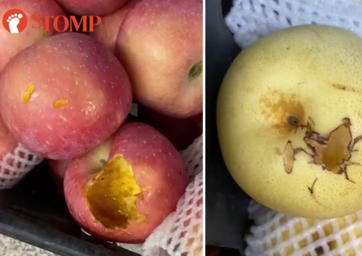 'Rats don't pose for the camera': Customer retorts after Giant staff ...