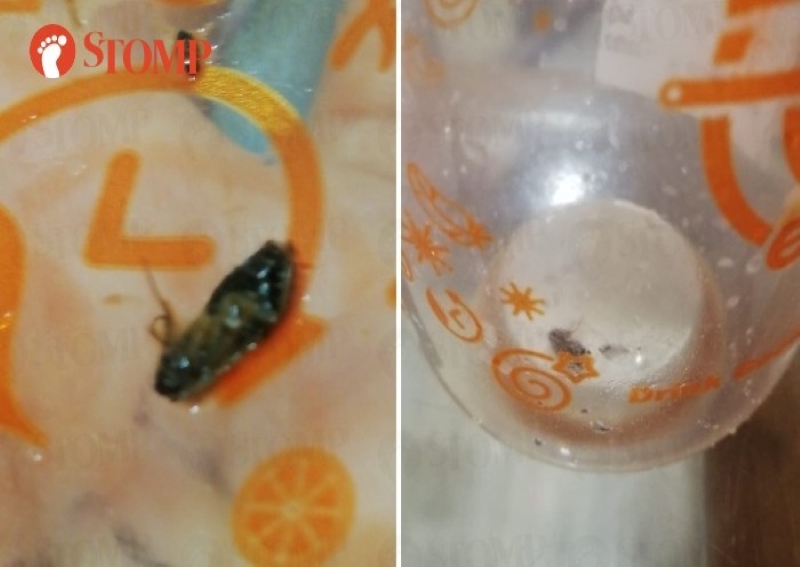 Customer finds cockroach in Each-A-Cup drink - after finishing it ...