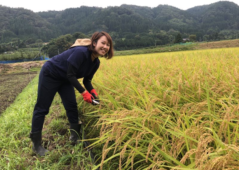 'I take pleasure in the little things here': Singaporean teacher is ...
