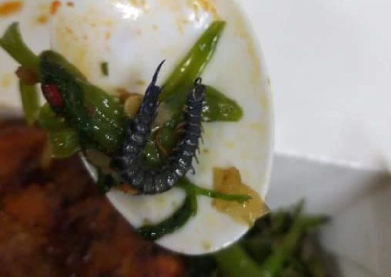 Protein for the gains? Centipede in meal at VivoCity food court ...