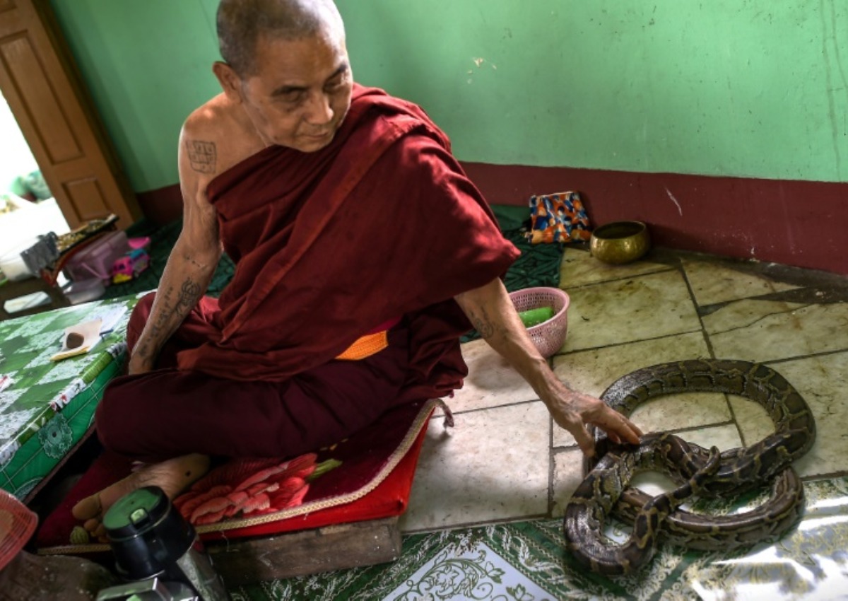 Myanmar Buddhist temple now a nirvana for snakes, Asia News - AsiaOne