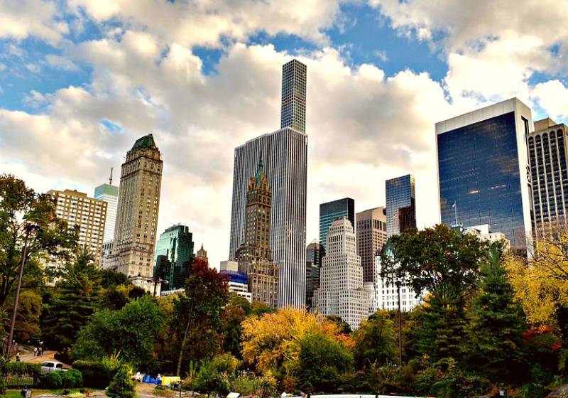 Green spaces in urban areas could improve city dwellers' morale, World ...