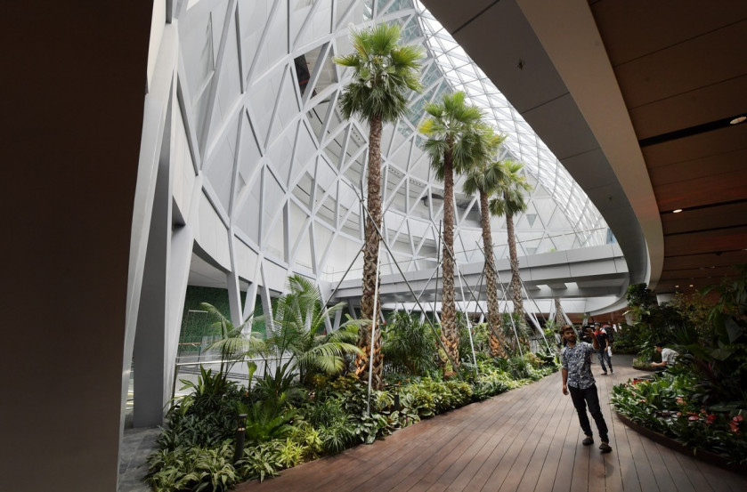 Bigger arrival hall with garden opens at Changi's Terminal 1 | AsiaOne