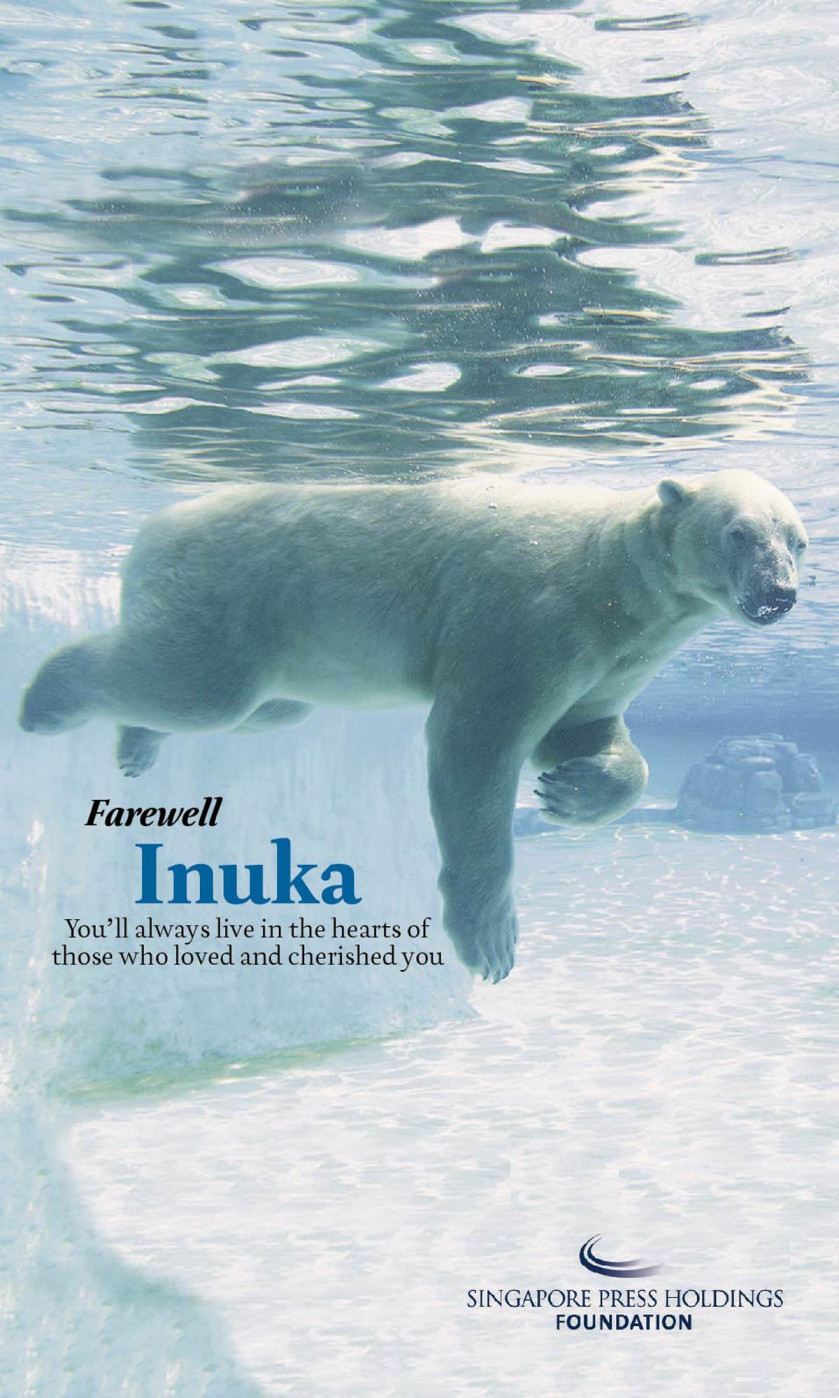 Singapore Zoo staff pay tribute to polar bear Inuka | AsiaOne