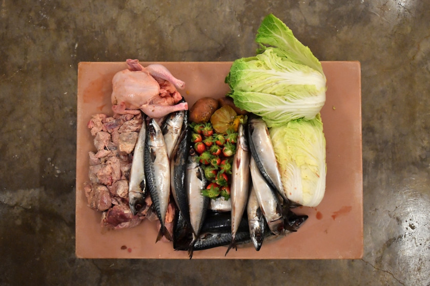 Singapore Zoo staff pay tribute to polar bear Inuka | AsiaOne