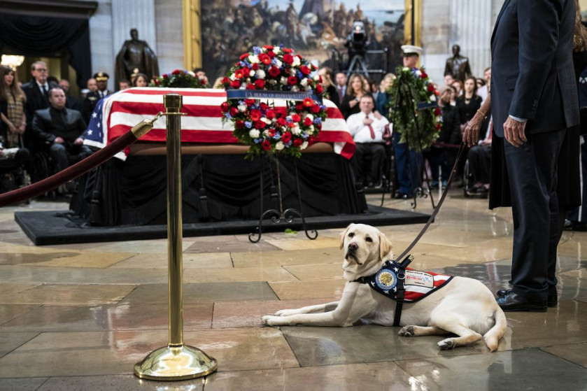 Service dog Sully bids final farewell to George HW Bush at US Capitol ...