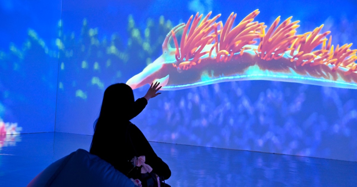 At this immersive ocean experience, I learn why it's important to ...