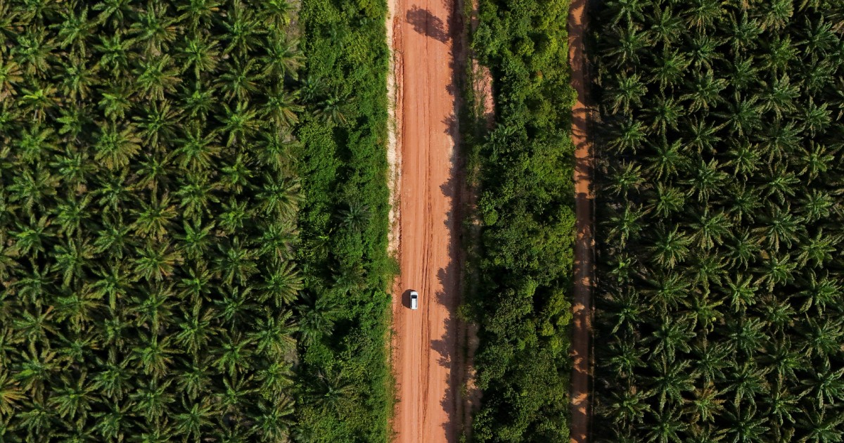 Indonesia government meets with palm oil farmers to address concerns ...